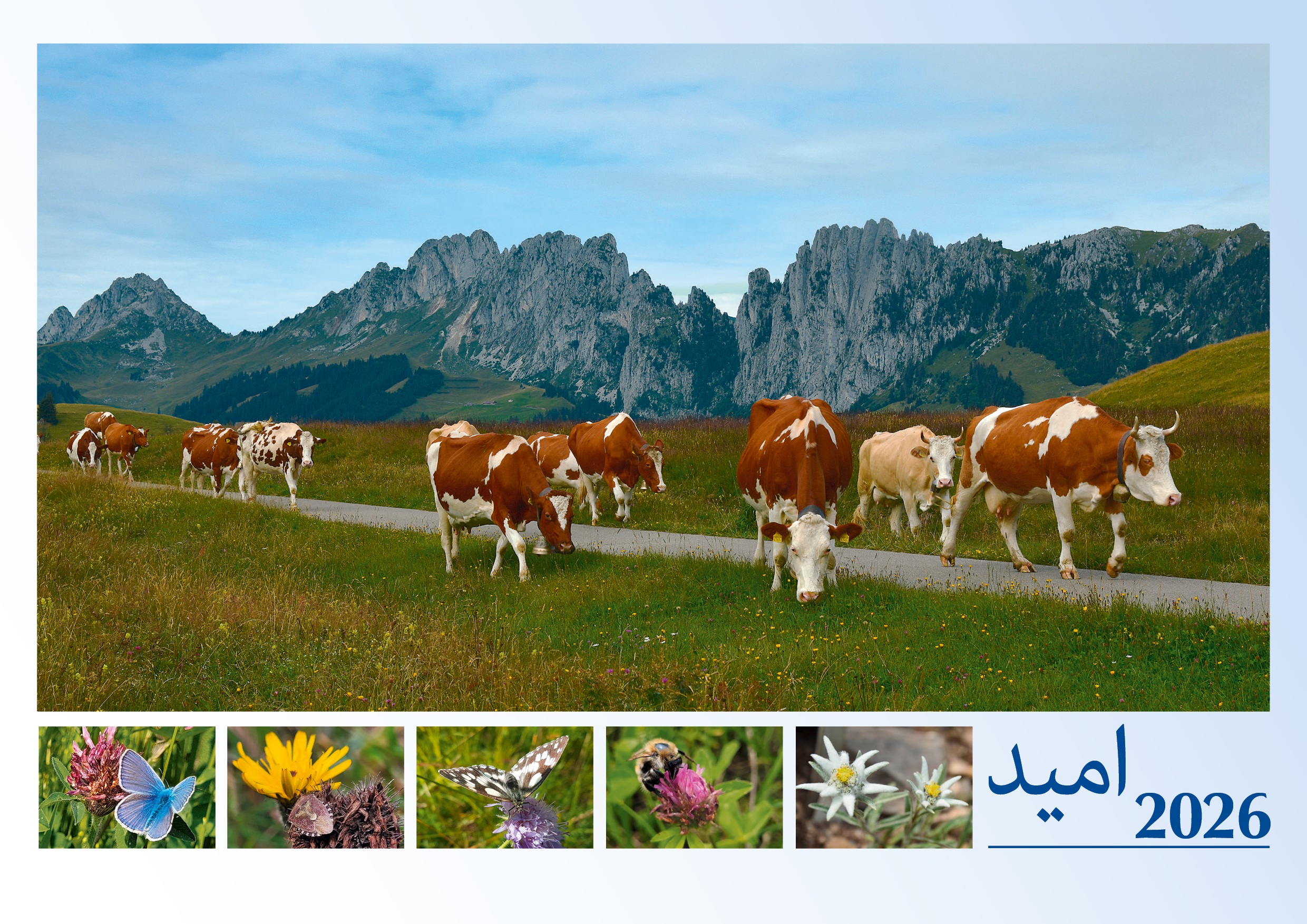 MEOS Medien | medien.meos.ch - Monthly Calendar „Hope“ German - Dari 2026